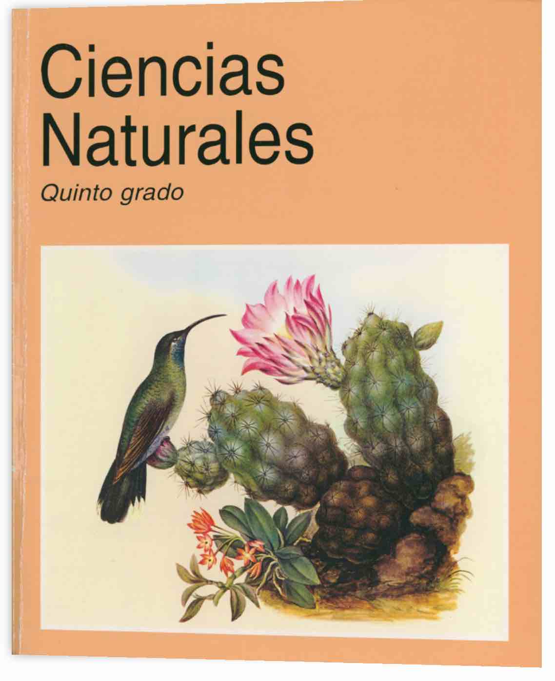 20 Mejores portadas de los libros de primaria en México - lavariega.com